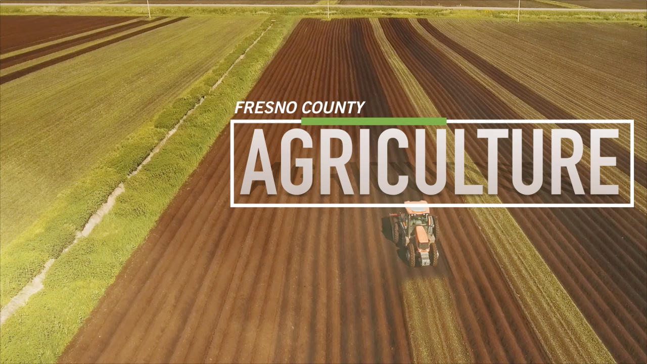 Fresno EDC Homepage - Fresno EDC